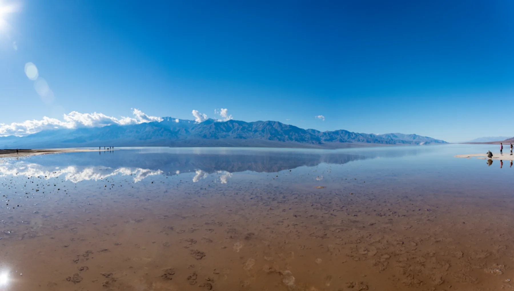 A Rare Wildflower Bloom in Death Valley National Park - Xanterra Travel ...